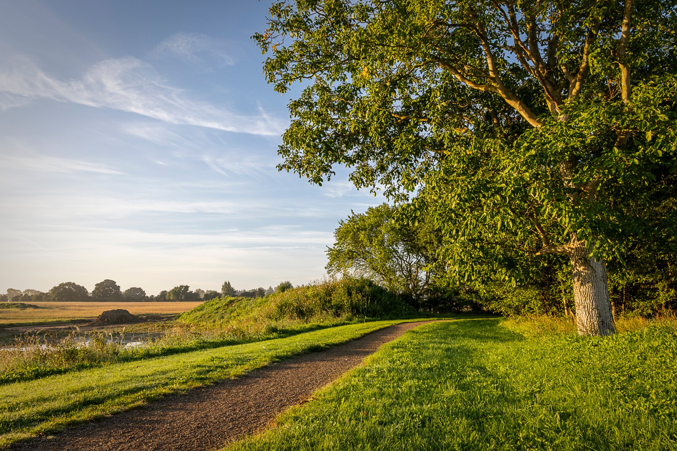 Helårsgrund - Kohave Agre 1, 4681 Herfølge