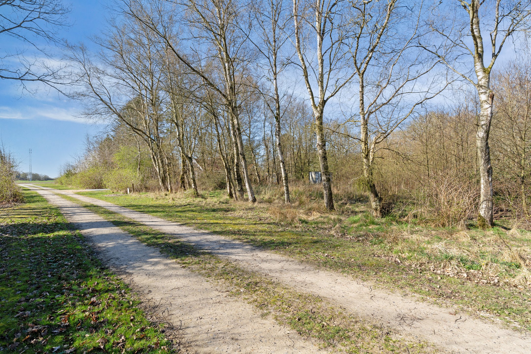 Galleri - Astrup Vig 5, 7870 Roslev